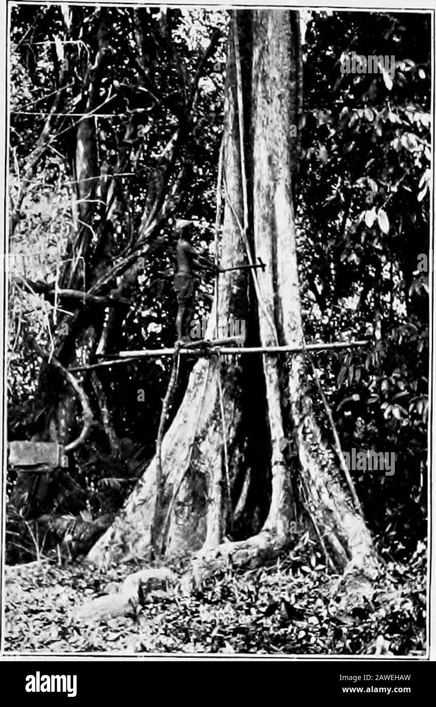 Ardu hi-res stock photography and images - Alamy