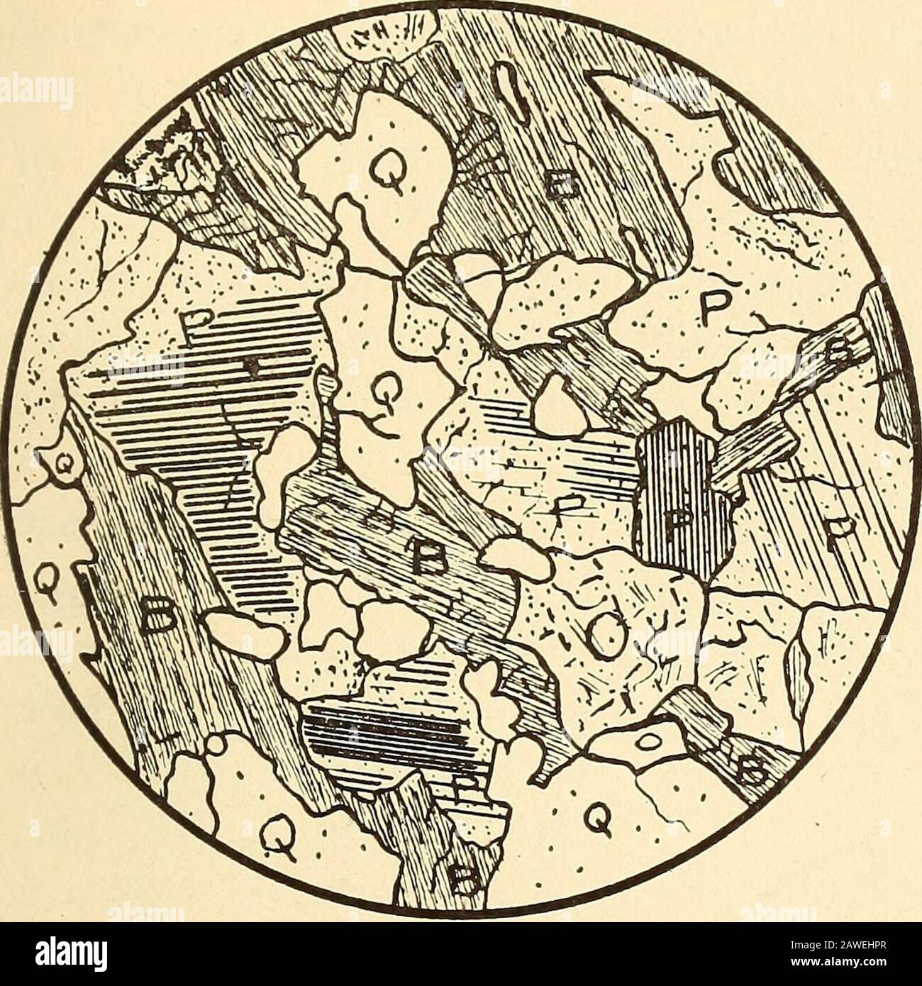 Annual report . Fig. 4 Sketch of a hornblende gneiss. Actual size 3 mm ...
