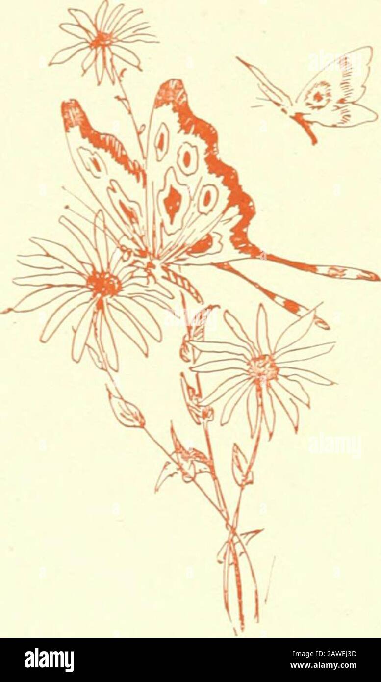 Riley james whitcomb hi-res stock photography and images - Alamy