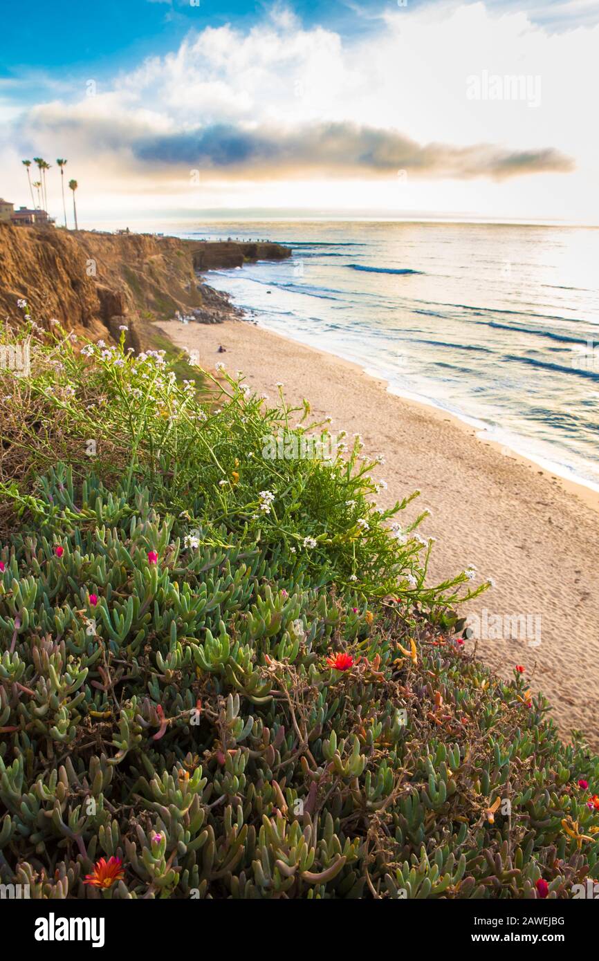 Add sand hi-res stock photography and images - Alamy