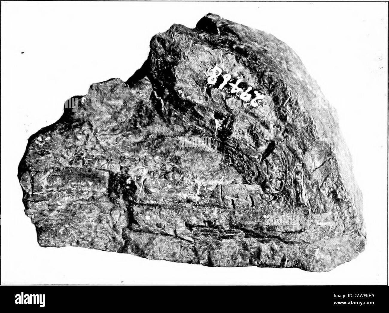 Structural joint Black and White Stock Photos & Images - Alamy