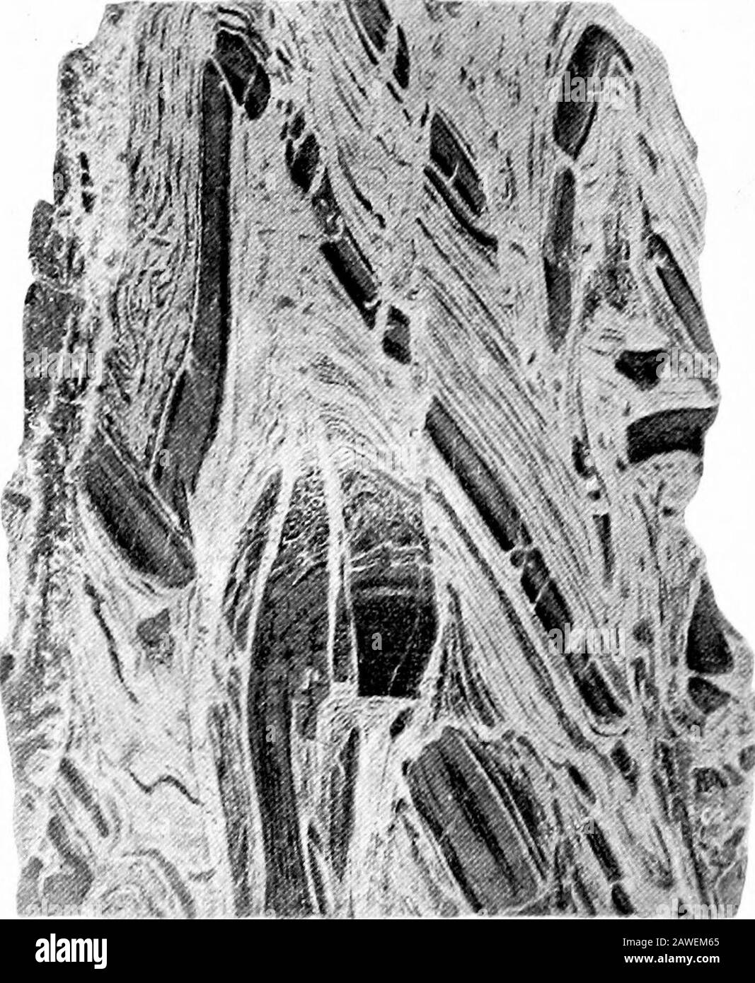 Structural geology . Fig. 51. Figures illustrating (a) ideal parallel ...