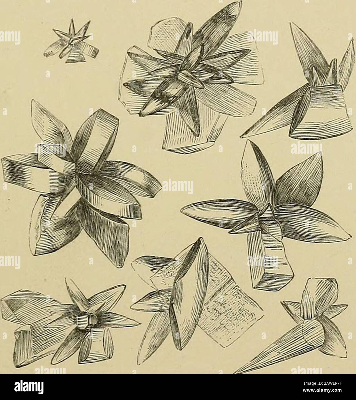 Kidney diseases, urinary deposits, and calculous disorders : their ...