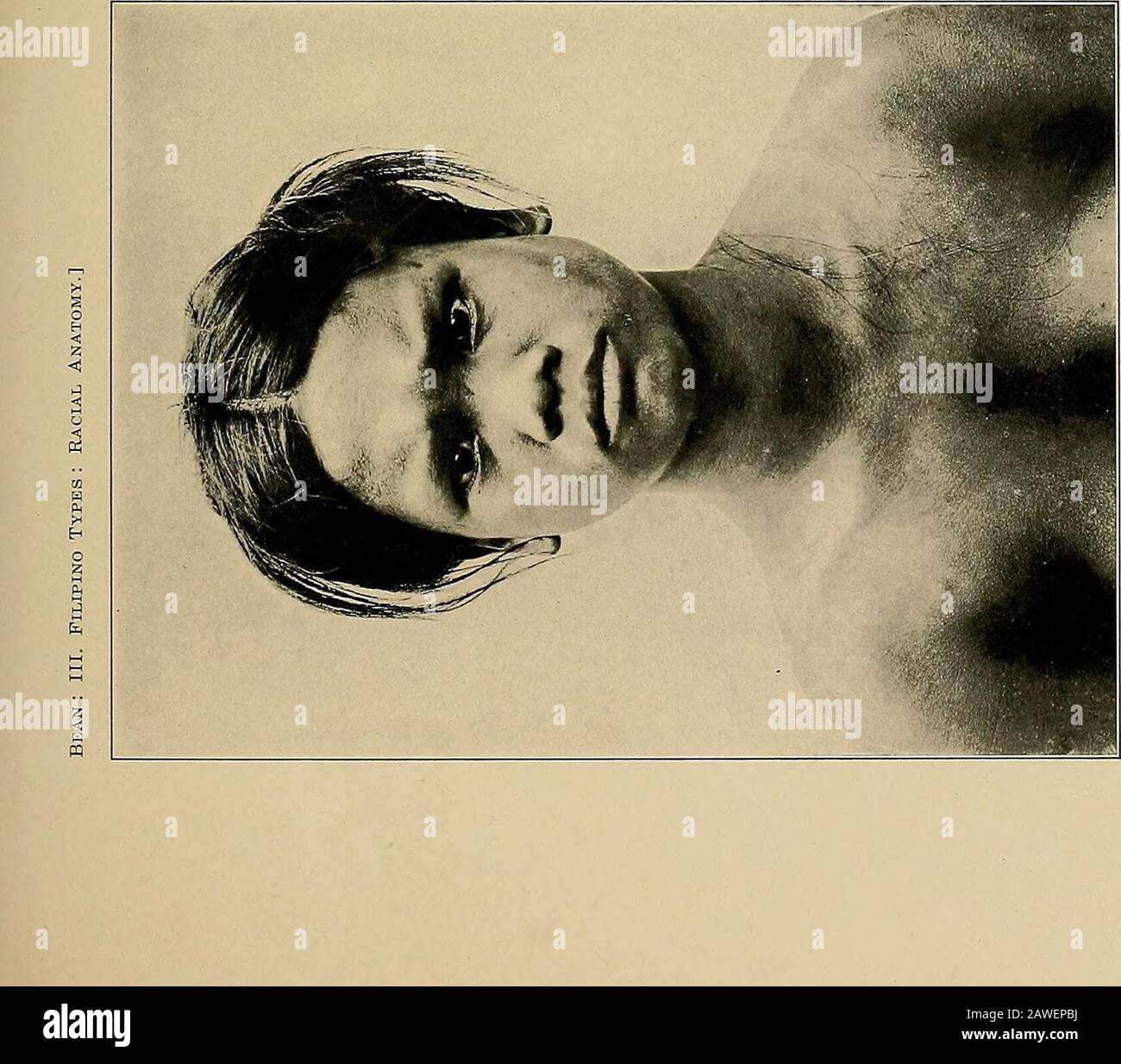 The Philippine journal of science Stock Photo - Alamy