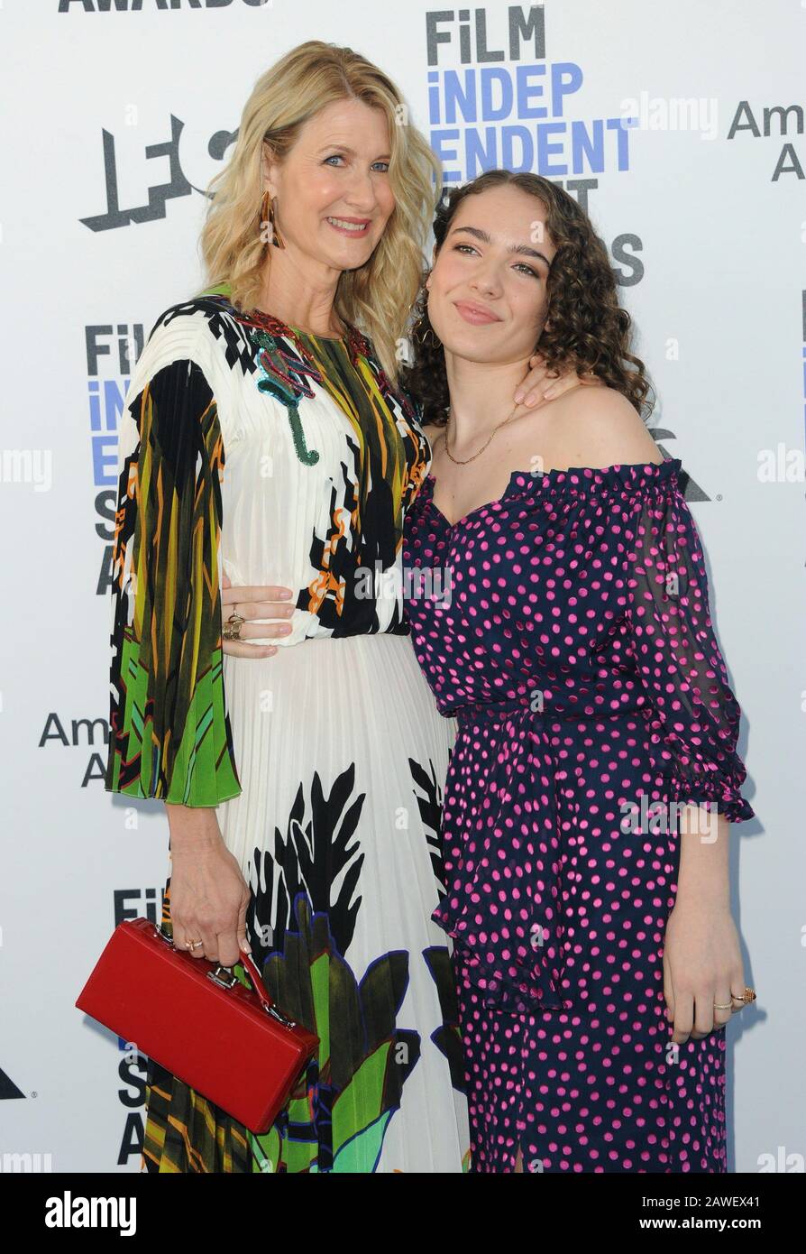 Laura elizabeth dern hi-res stock photography and images - Alamy