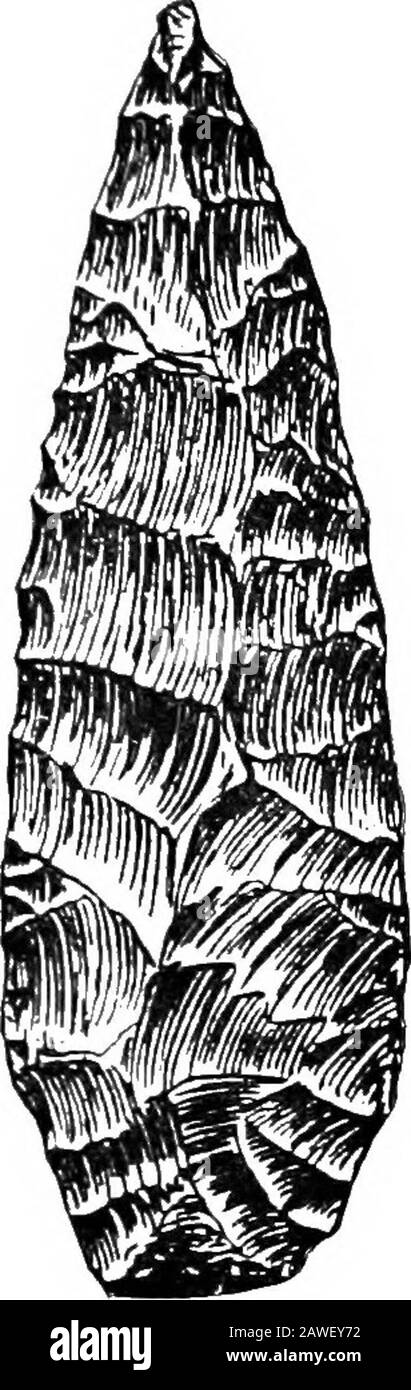 Epoch evolution Black and White Stock Photos & Images - Alamy