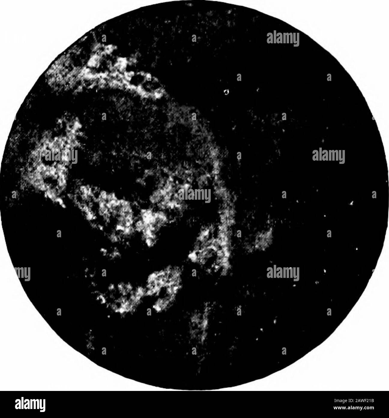 Iron corrosion; anti-fouling and anti-corrosive paints . Fig. 12 ...