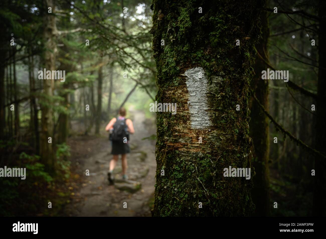 Appalachian Trail Blaze High Resolution Stock Photography and Images ...