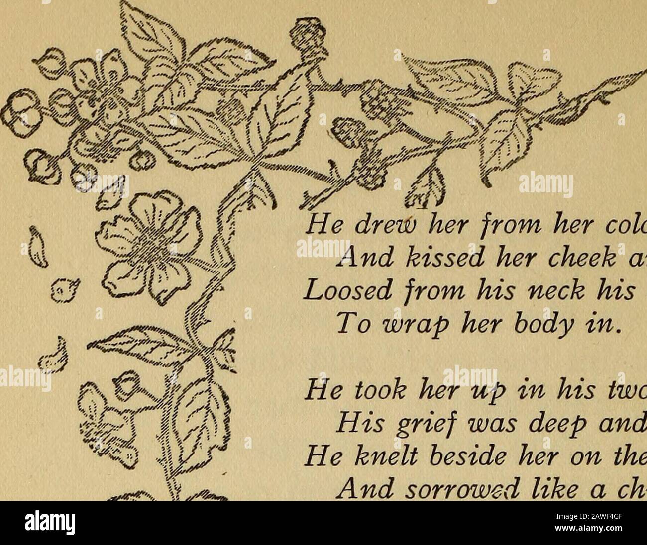 Roderick hill hi-res stock photography and images - Alamy