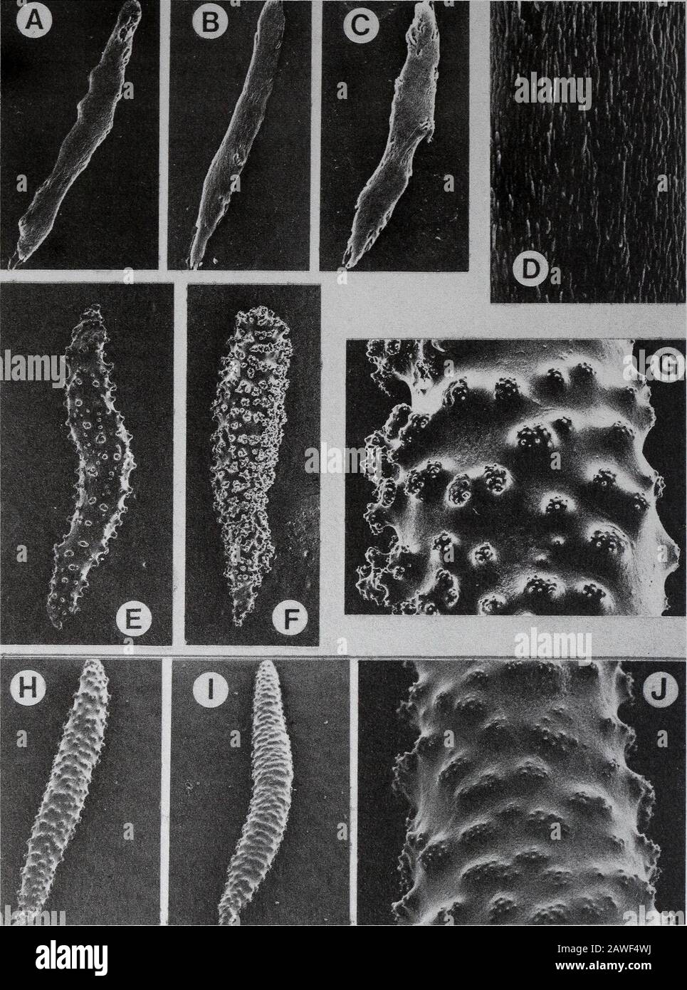 Annals of the South African MuseumAnnale van die Suid-Afrikaanse Museum ...