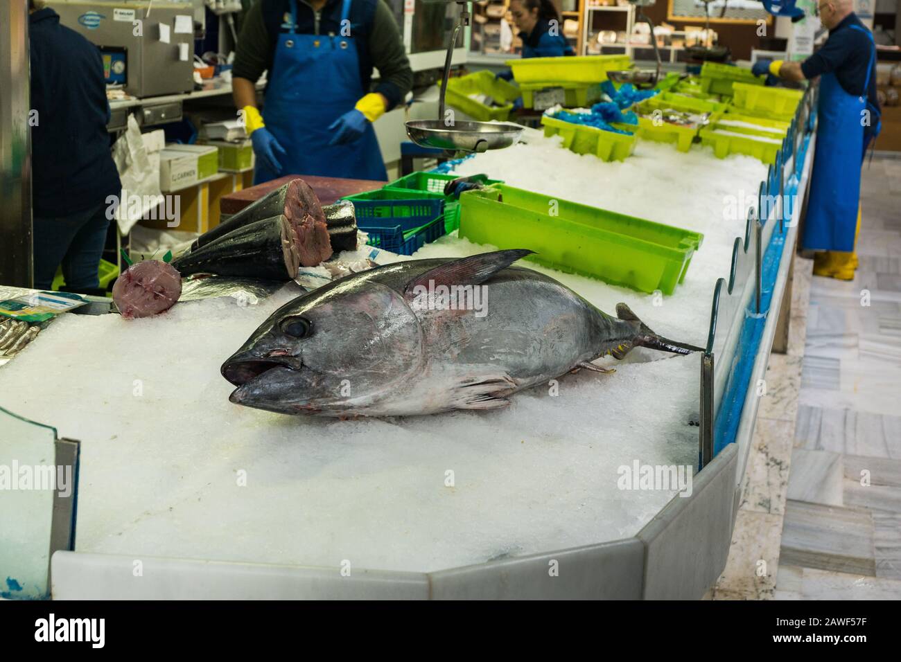 tuna on selling in a fish market Stock Photo - Alamy
