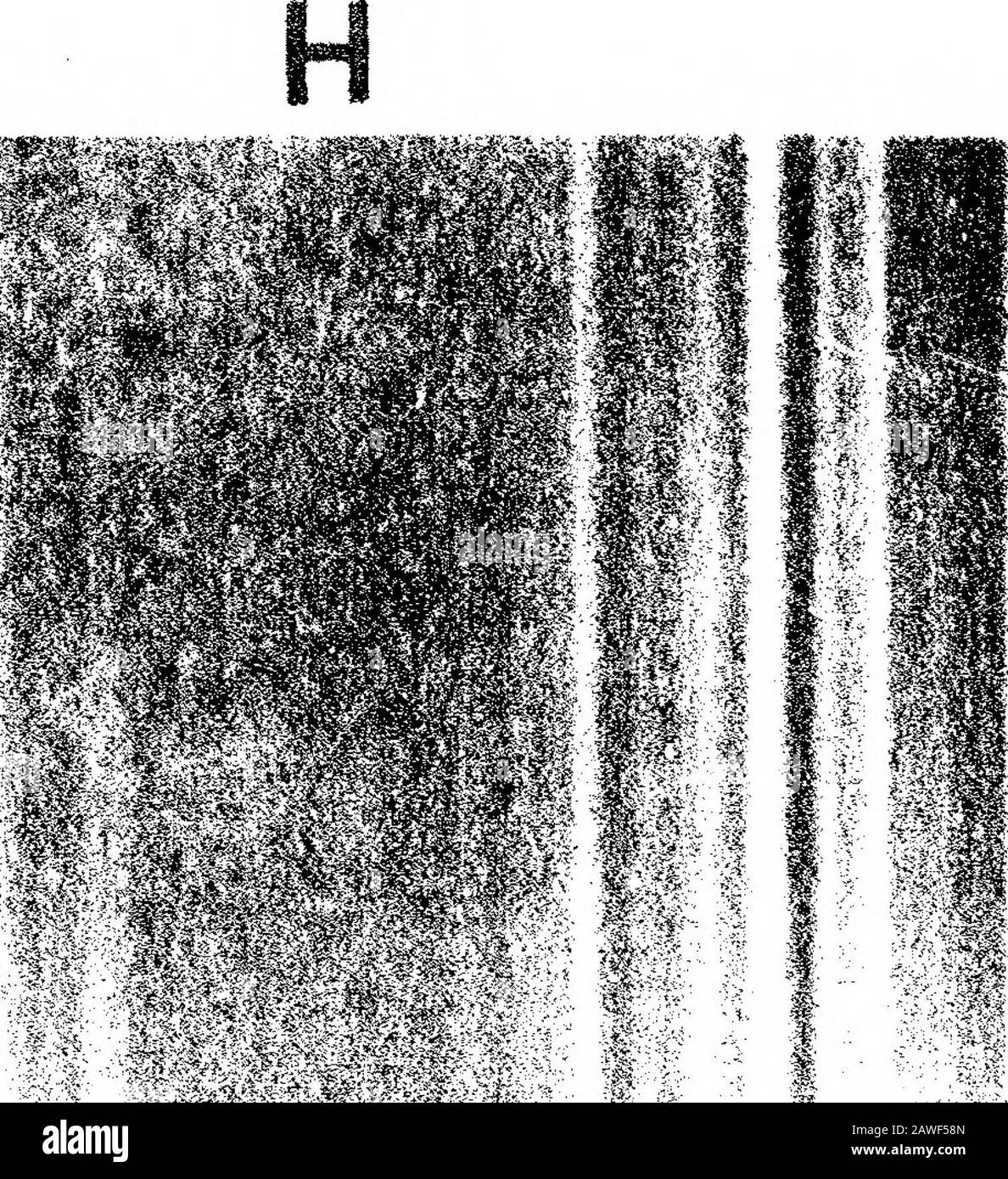 Drift marks hi-res stock photography and images - Alamy