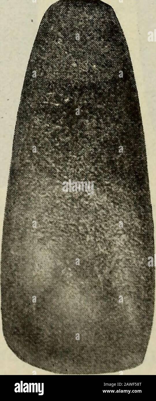 Ohio archæological and historical quarterly . Fig. Celts made of flint ...
