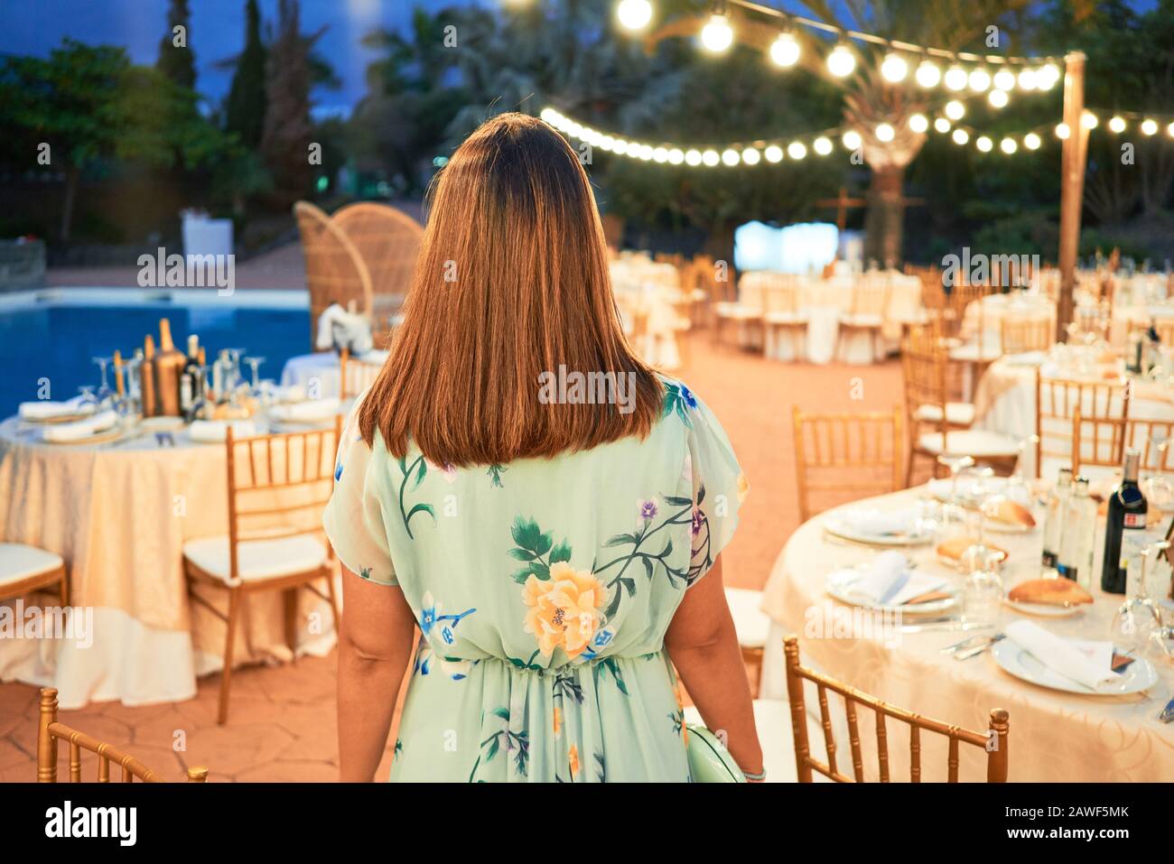 Back view of yung beautiful and elegant woman with wedding guest dress ...