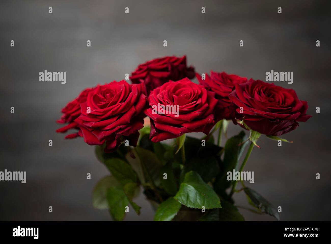 Red roses bunch on the moody background Stock Photo - Alamy