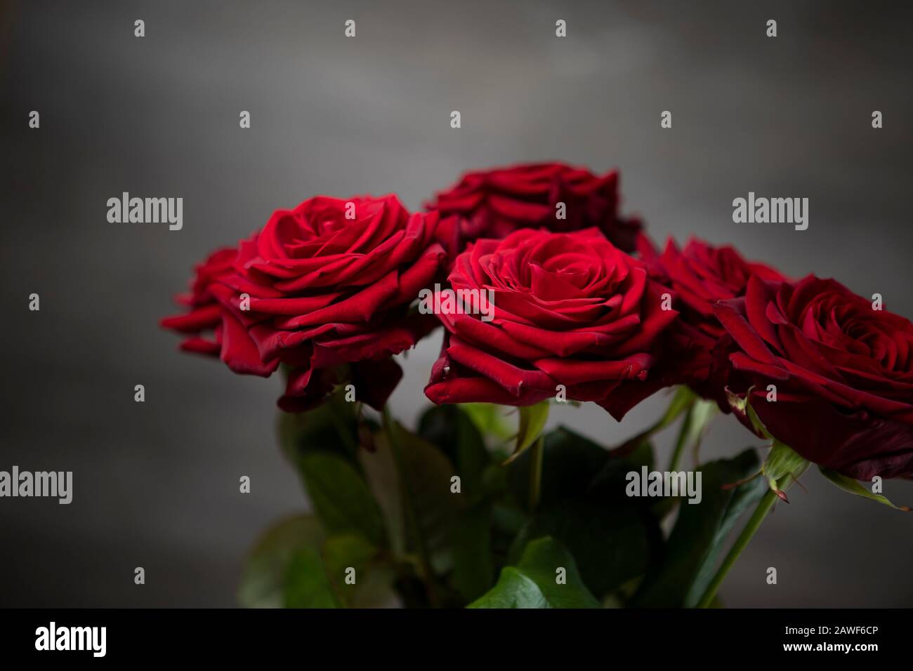 Red roses bunch on the moody background Stock Photo - Alamy