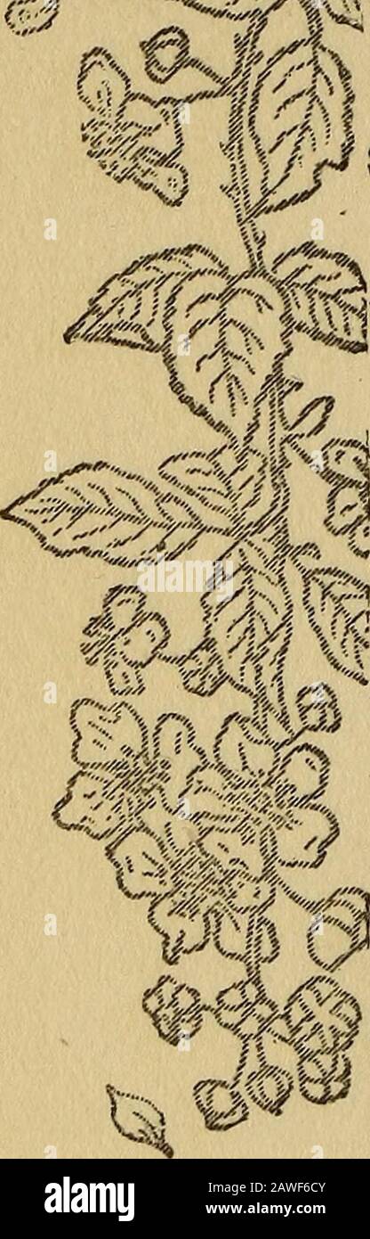 The story and song of Black Roderick . ^ in its whisperings were as ...