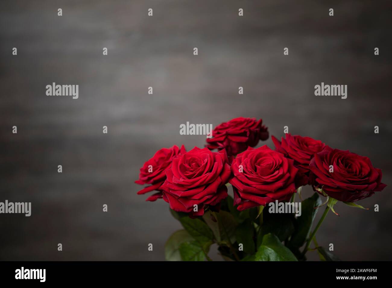 Red roses bunch on the moody background Stock Photo - Alamy