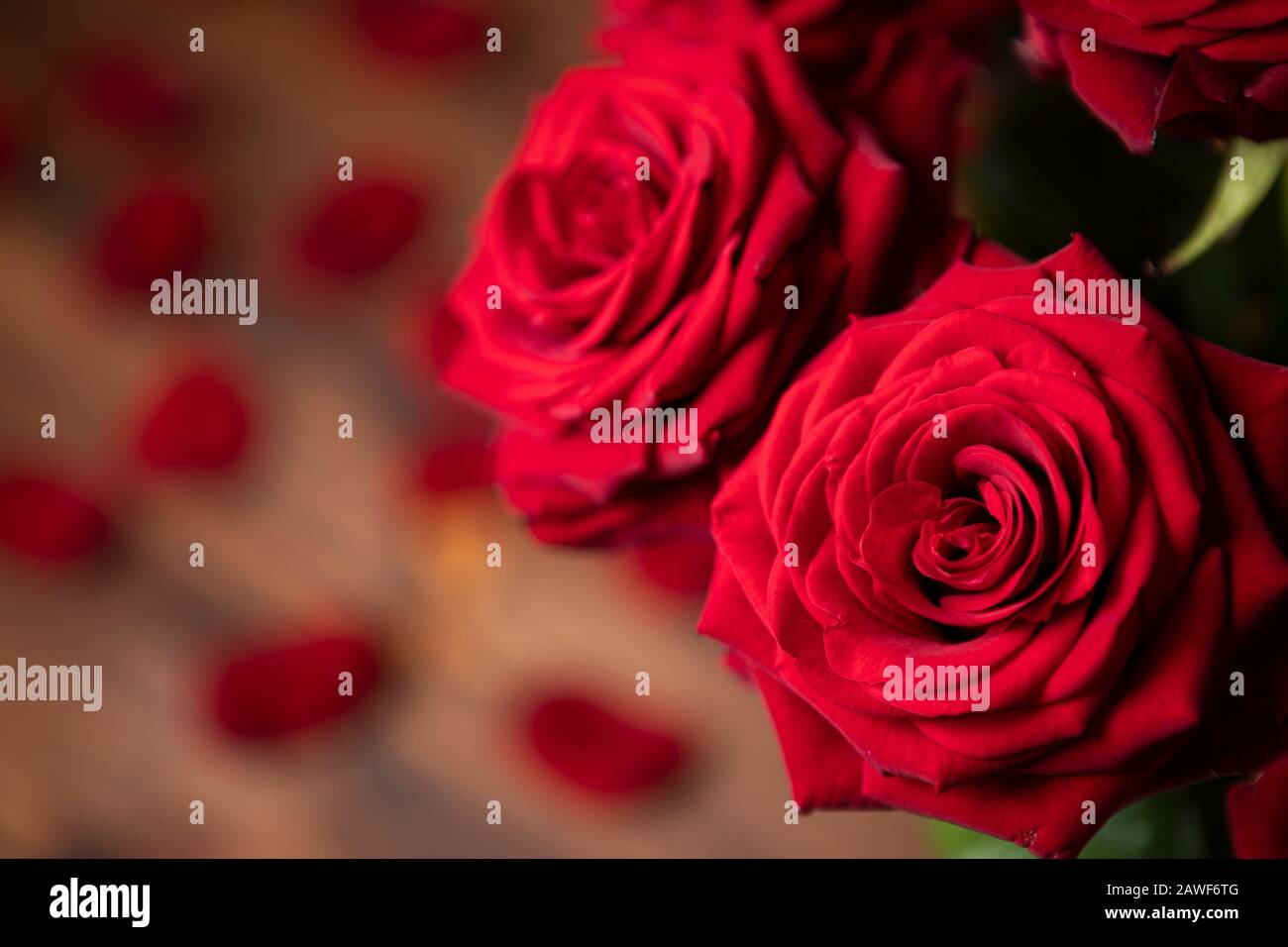 Red roses bunch on the moody background Stock Photo - Alamy