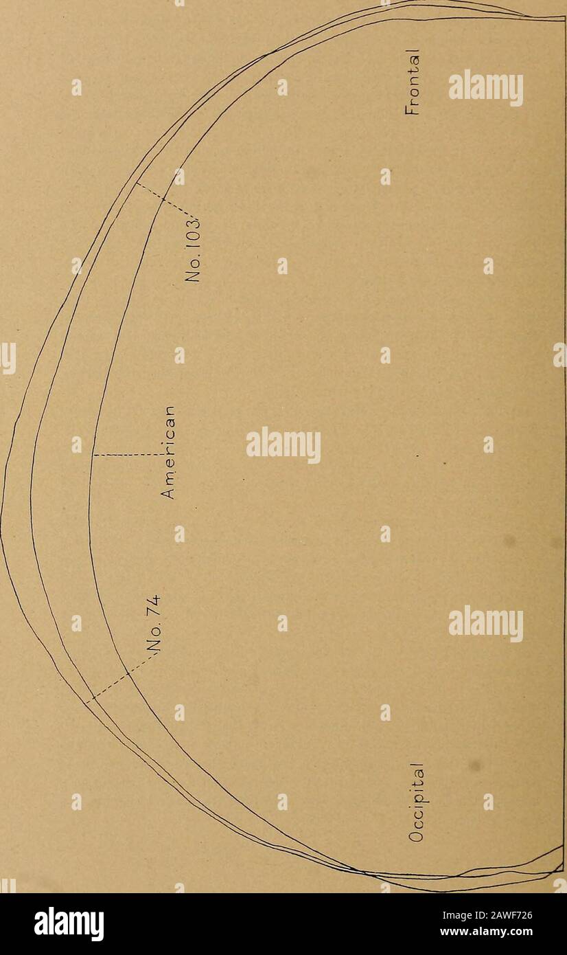 Australoid hi-res stock photography and images - Alamy