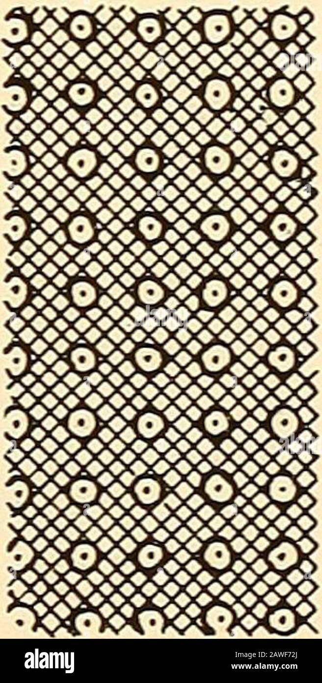 A lace guide for makers and collectors; with a bibliography and five ...