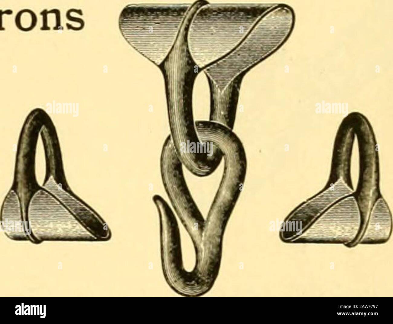 Special harness catalogue, season 1910 and 1911 . Nos. 7.? and 5hi. ^J ...