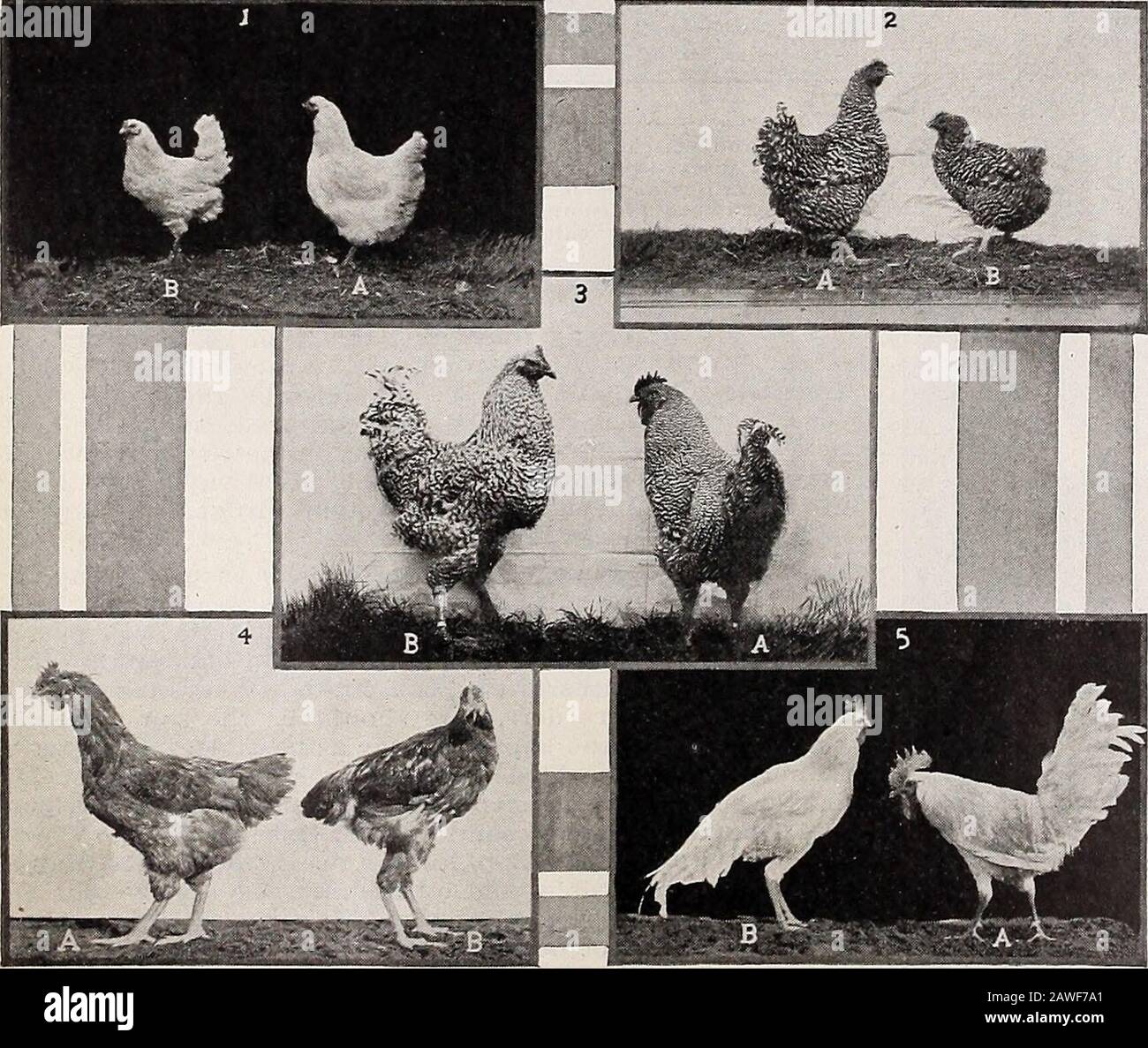 Ven letter hi-res stock photography and images - Alamy