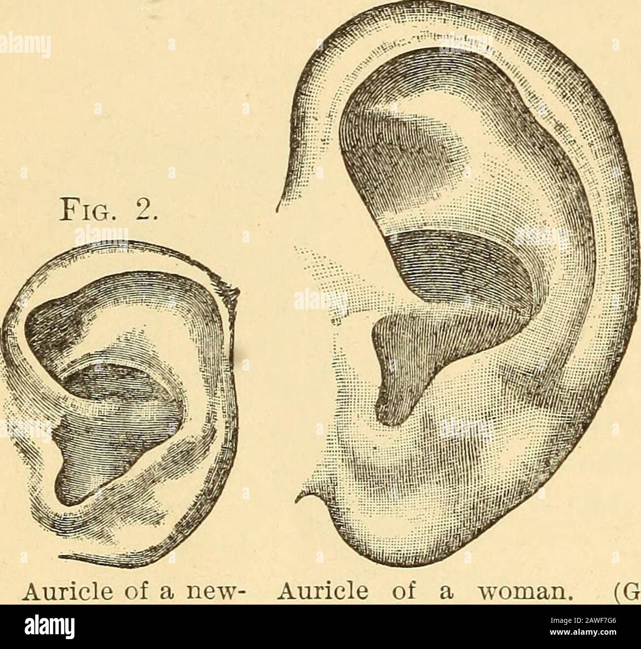 Cms 2 text hi-res stock photography and images - Alamy