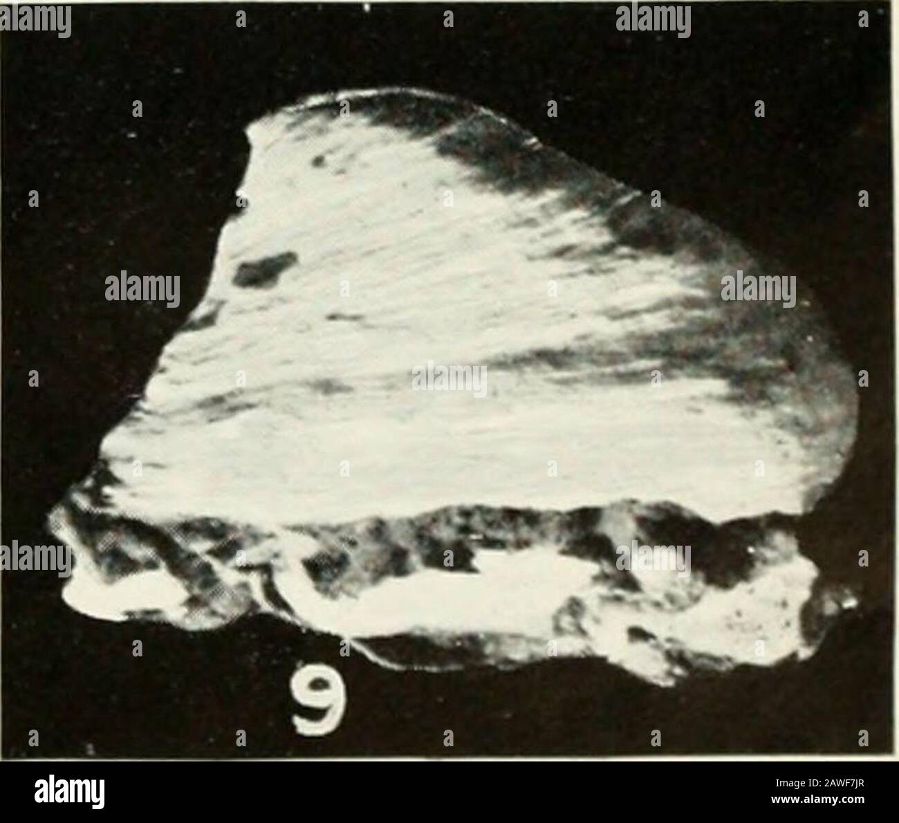 13 x 8 5 mm hi-res stock photography and images - Alamy