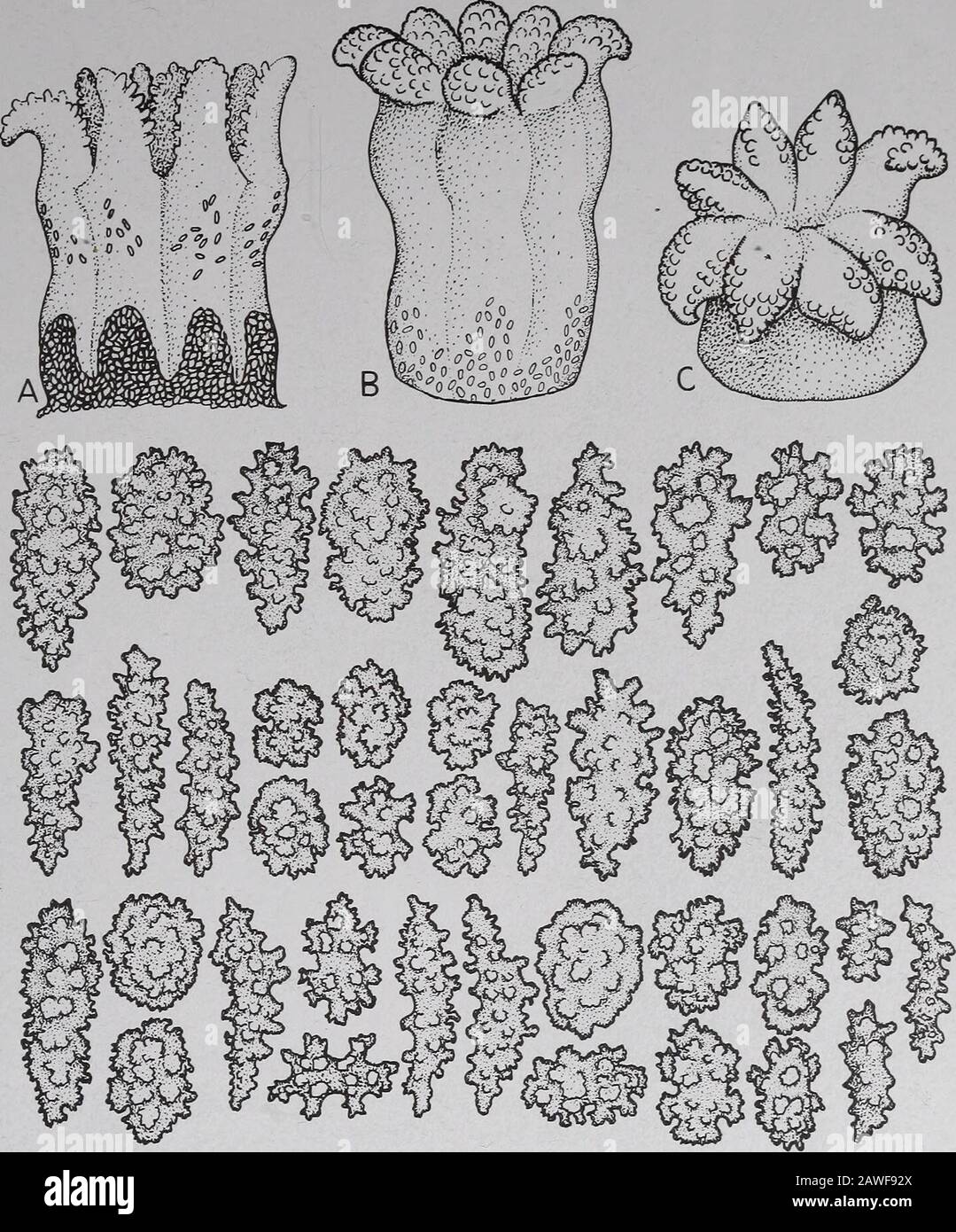 E 4 48 12 hi-res stock photography and images - Alamy