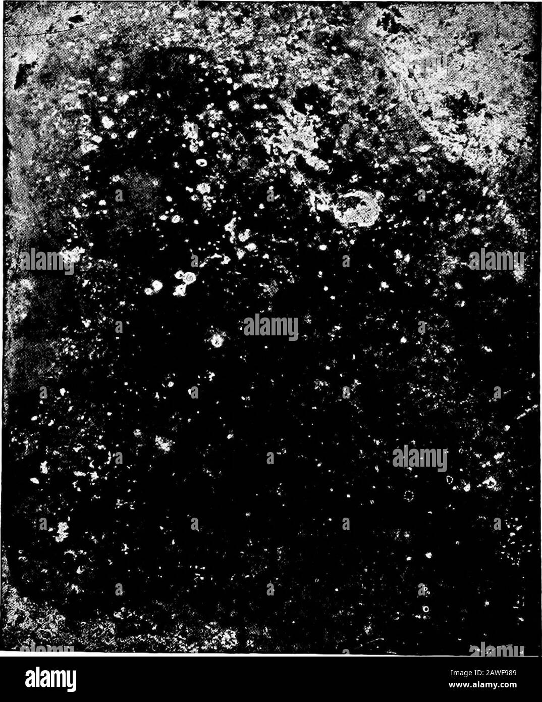 Acid corrosion metal hi-res stock photography and images - Alamy