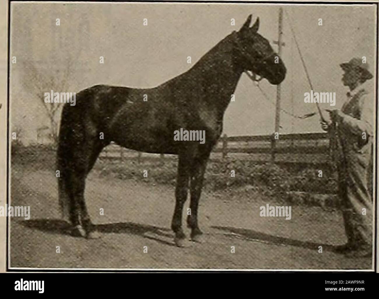 Logans dam hi-res stock photography and images - Alamy