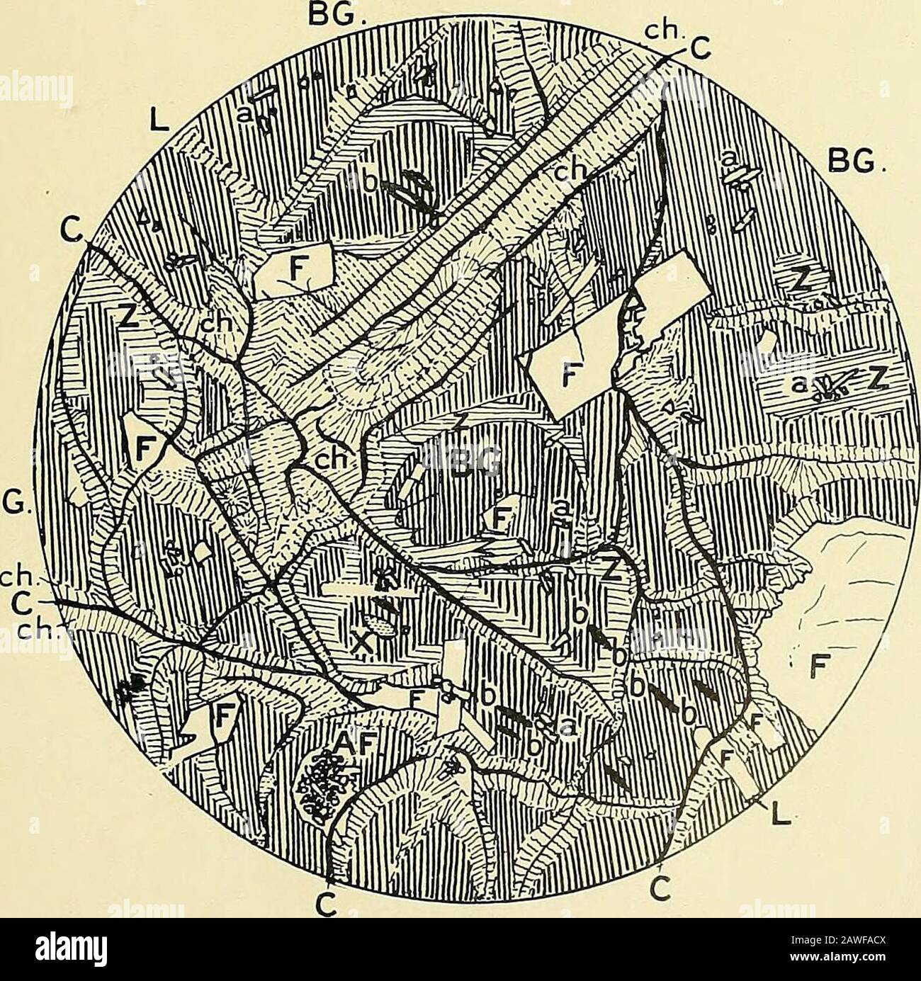 Igneous rock in hand hi-res stock photography and images - Alamy