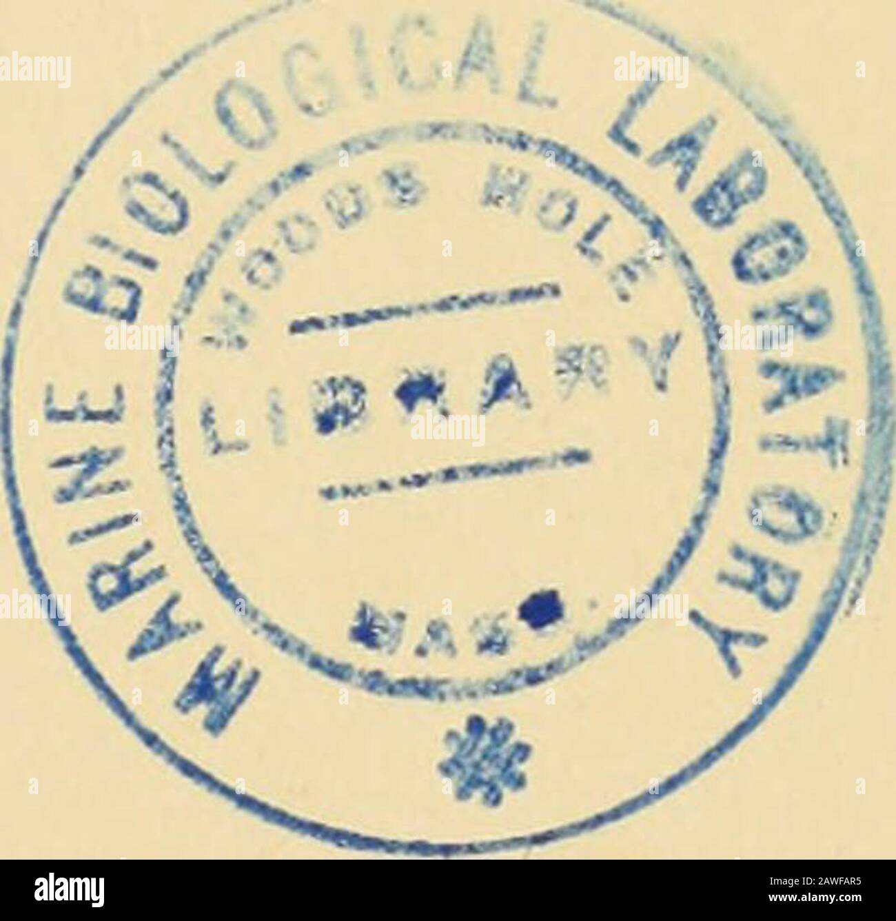 Skeleton proposing hi-res stock photography and images - Alamy