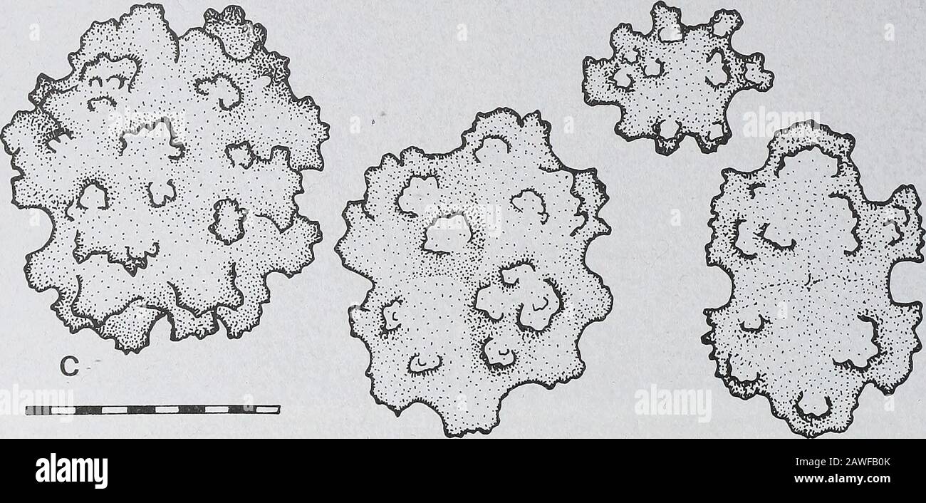 Annals of the South African MuseumAnnale van die Suid-Afrikaanse Museum ...