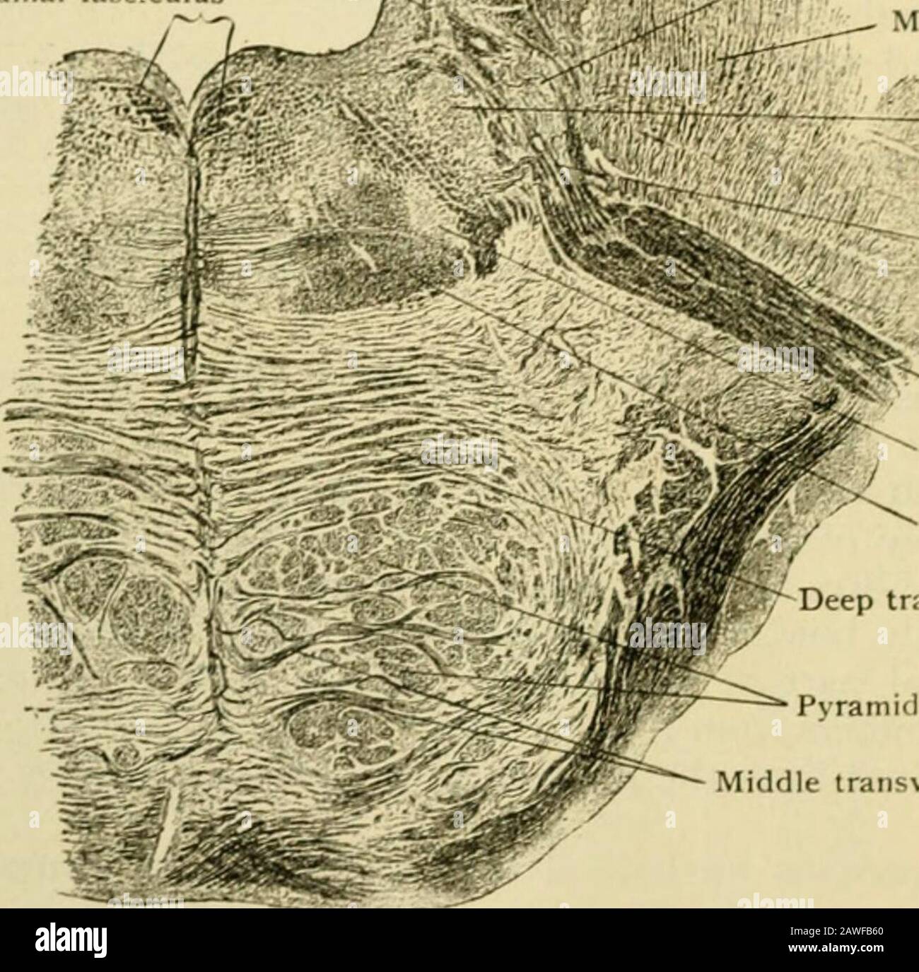 Ward ro hi-res stock photography and images - Alamy