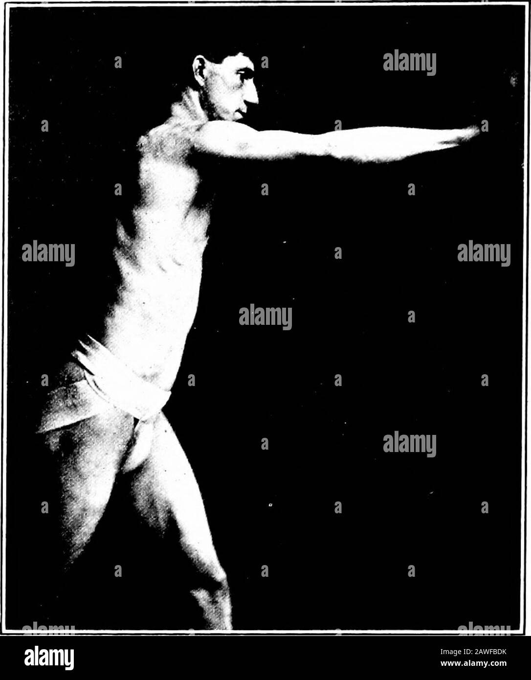 Applied anatomy and kinesiology, the mechanism of muscular movement ...