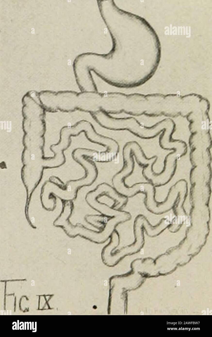 Even rotated hi-res stock photography and images - Alamy