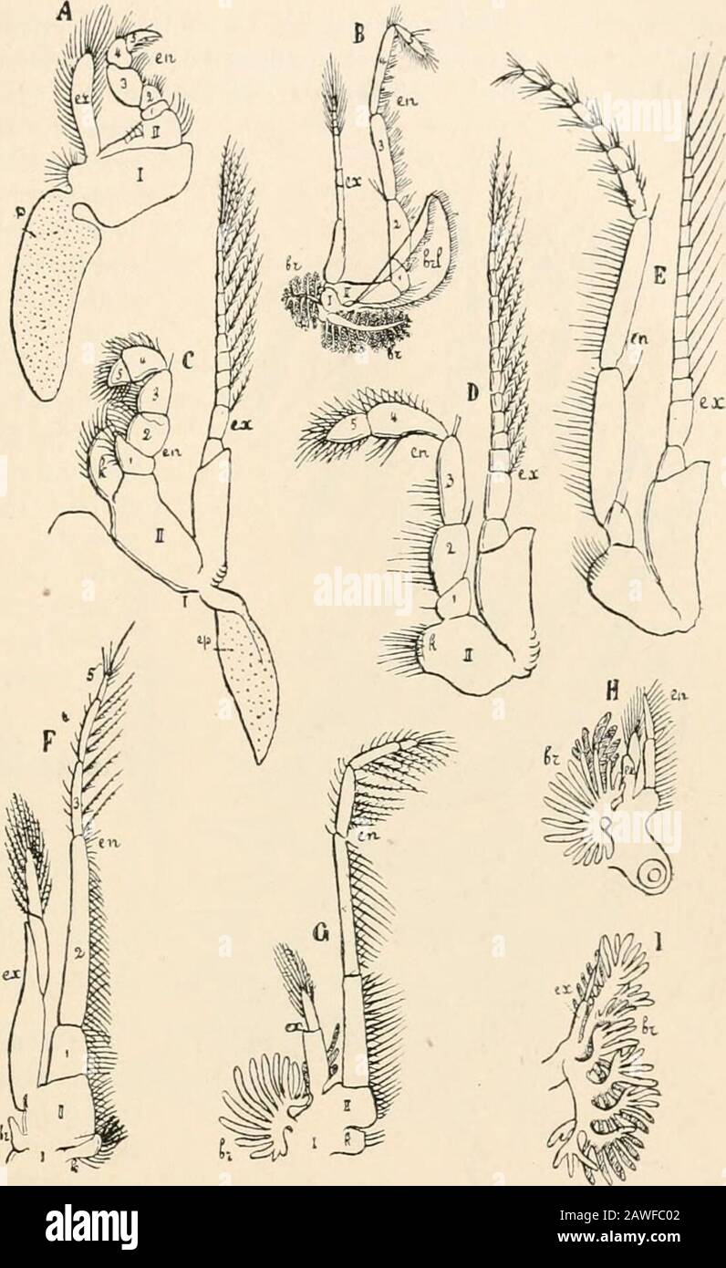 224 foot long hi-res stock photography and images - Alamy