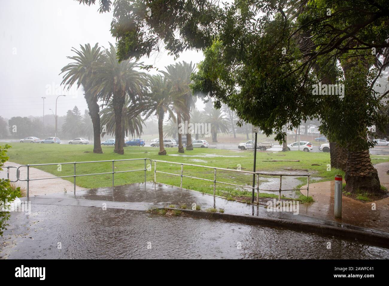 Sydney, Australia. 9th Feb 2020 Stock Photo - Alamy