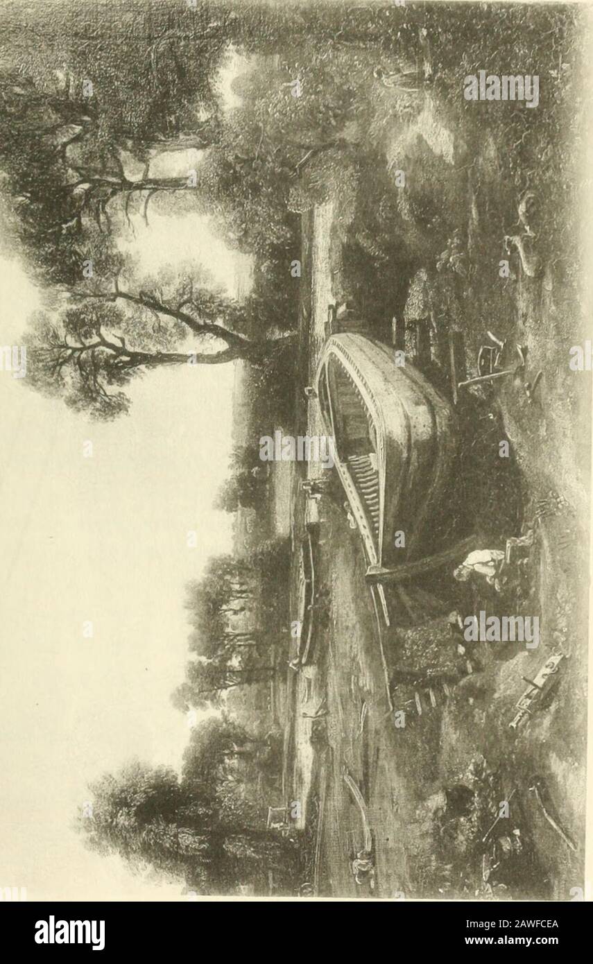 Tremulous effect hi-res stock photography and images - Alamy