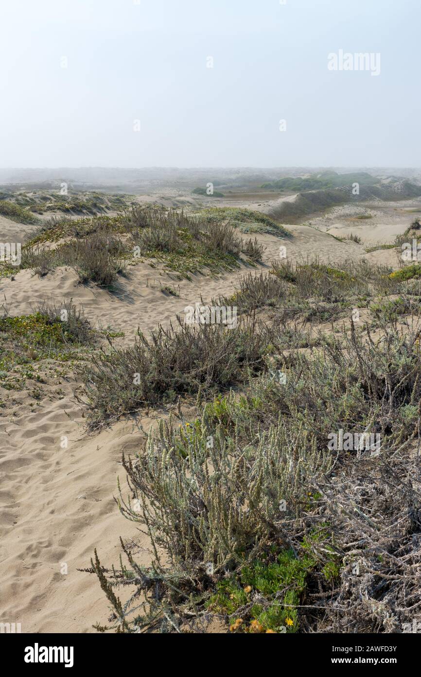 10 Mile Beach High Resolution Stock Photography and Images - Alamy