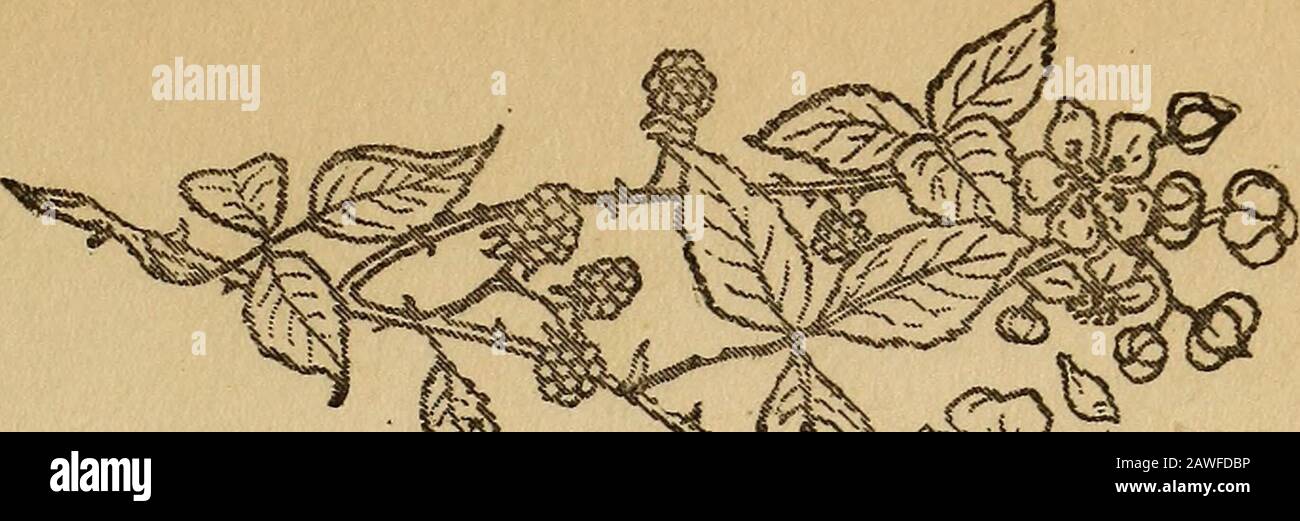 Lord roderick hi-res stock photography and images - Alamy