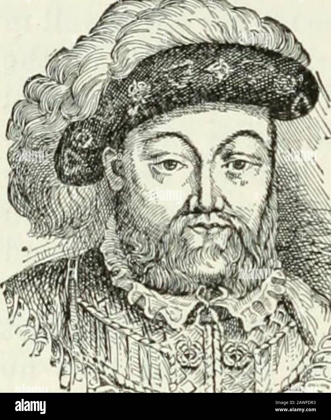 1513 1542 hi-res stock photography and images - Alamy