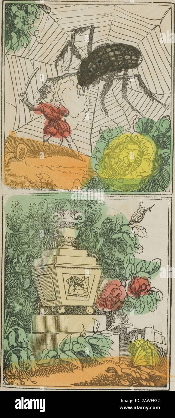 Park's Tom Thumb . r. At last, oh direful tale to tell,In a spiders web ...