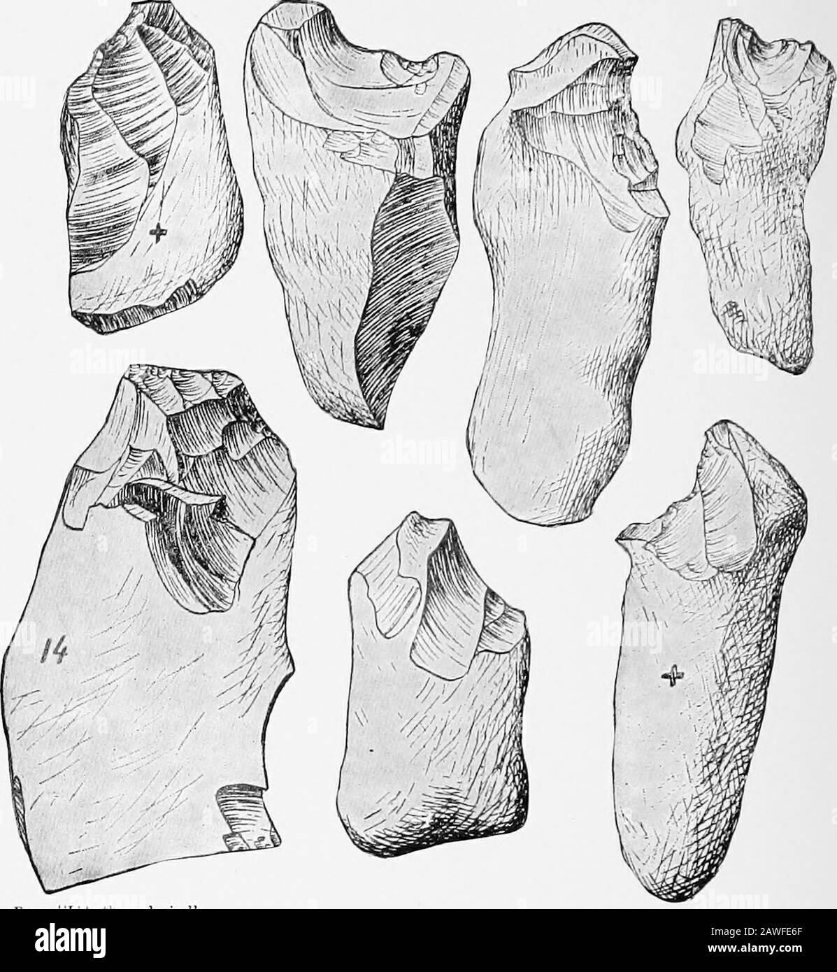 An introduction to the study of social evolution; the prehistoric ...