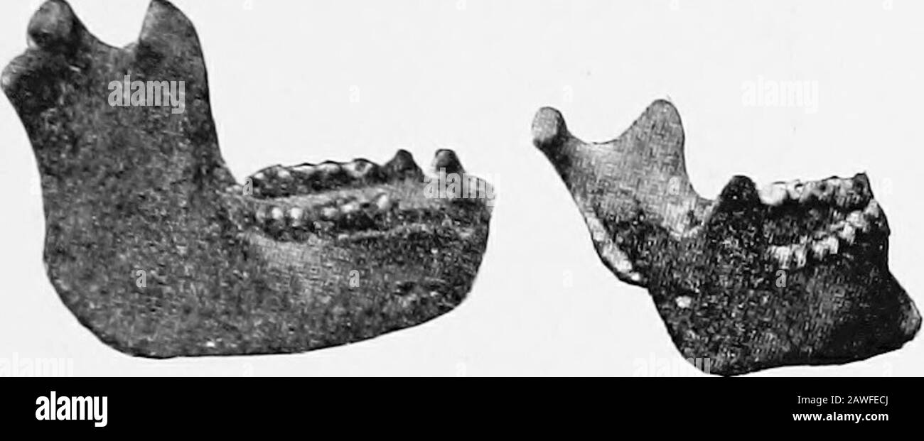 An introduction to the study of social evolution; the prehistoric ...