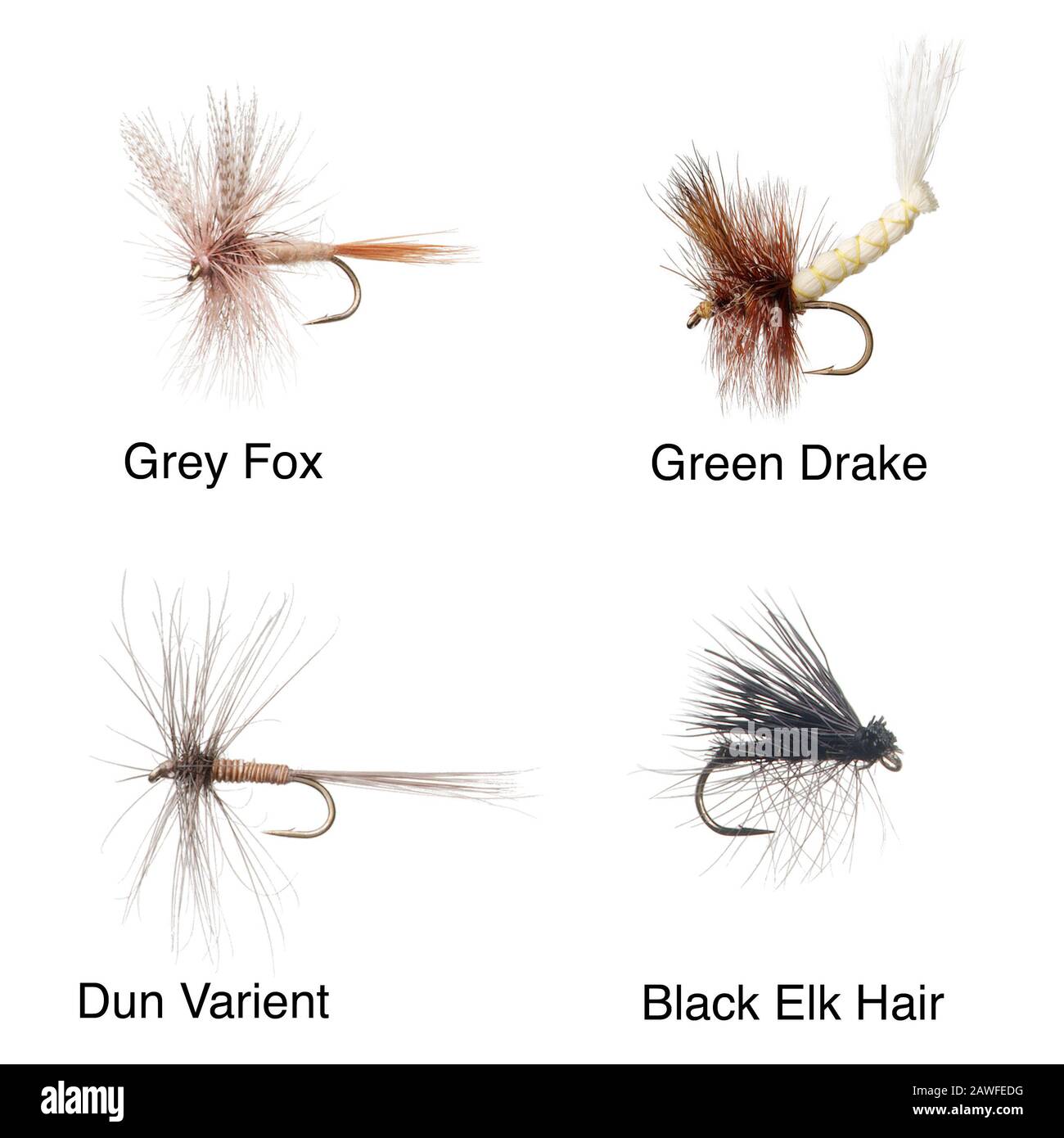 Fisherman trout man fishing Cut Out Stock Images & Pictures - Alamy