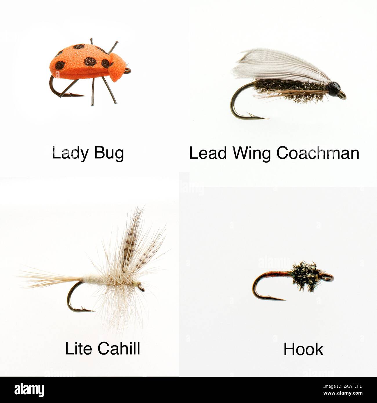 Types Of Fishing Flies Names at Janet Olvera blog Types Of Fishing Flies Names at Janet Olvera blog