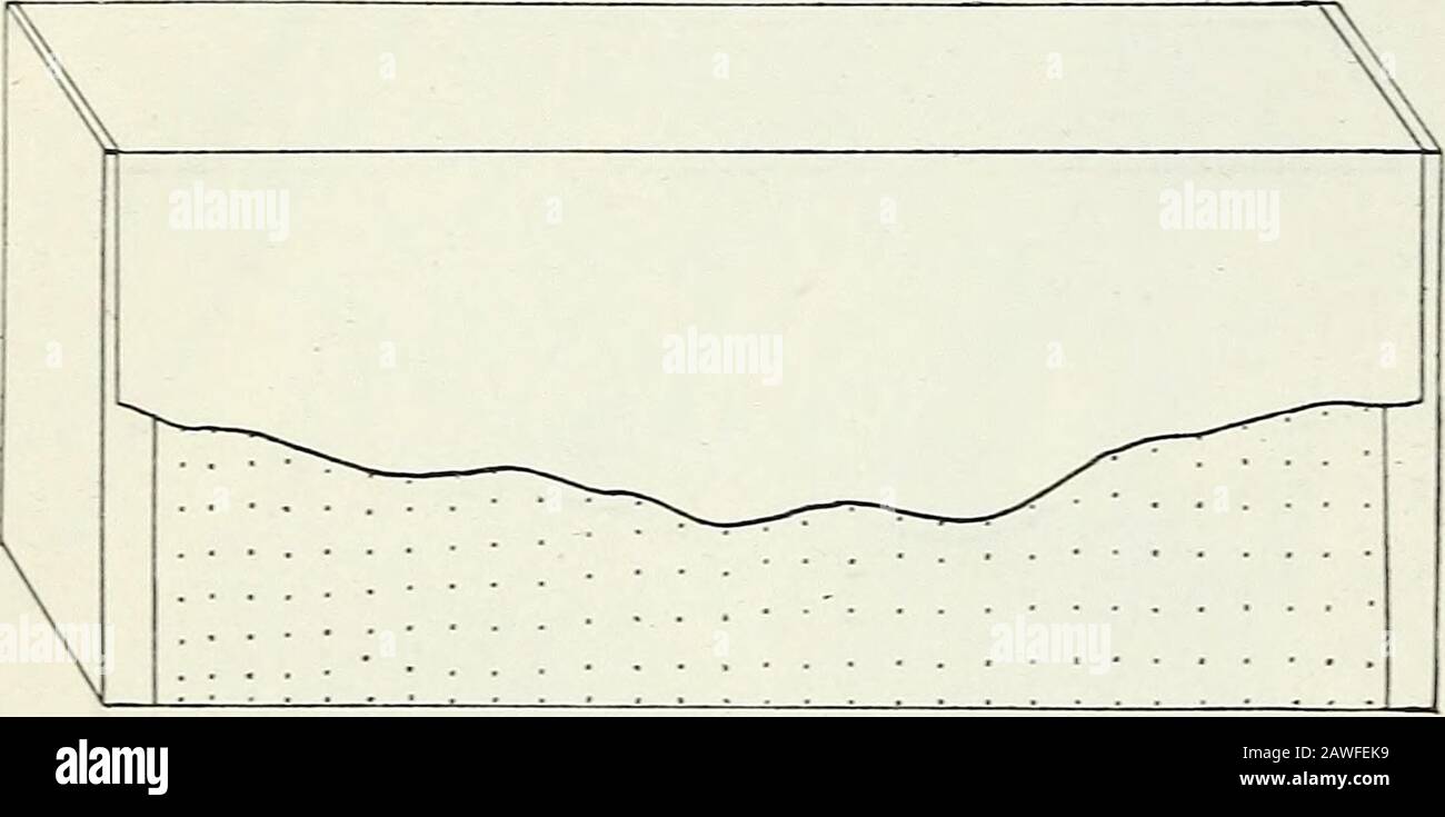 A sealed paper carton to protect cereals from insect attack . a belt ...